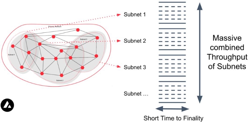 Avalanche Subnets: The Future of Customizable Blockchain Networks